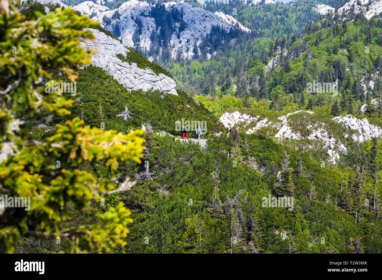 National park Sjeverni Velebit. One of the most beautiful parts of ...