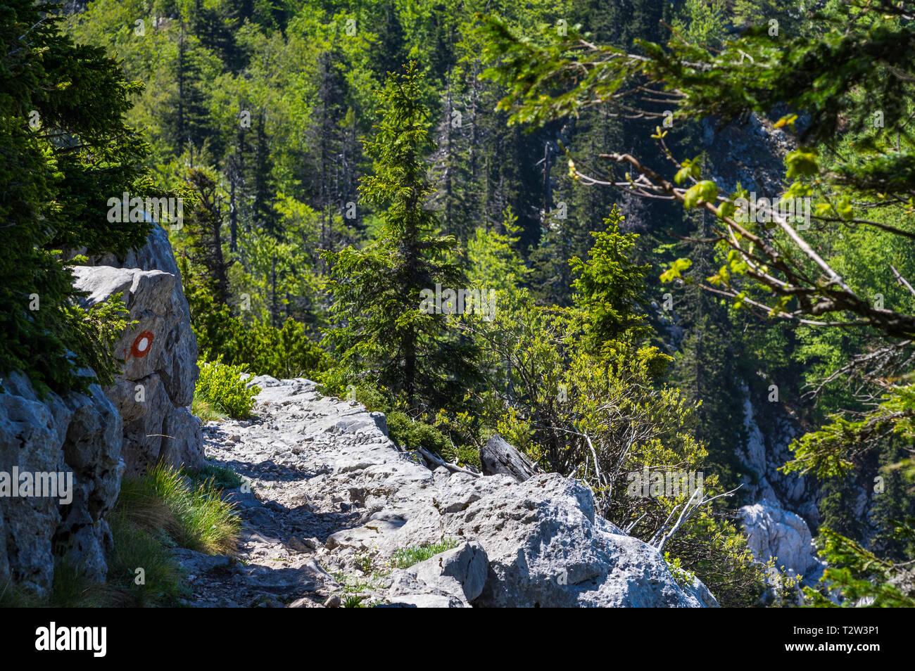 National park Sjeverni Velebit. One of the most beautiful parts of ...