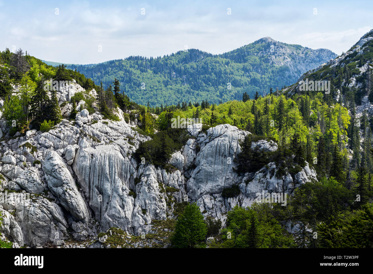 National park Sjeverni Velebit. One of the most beautiful parts of ...