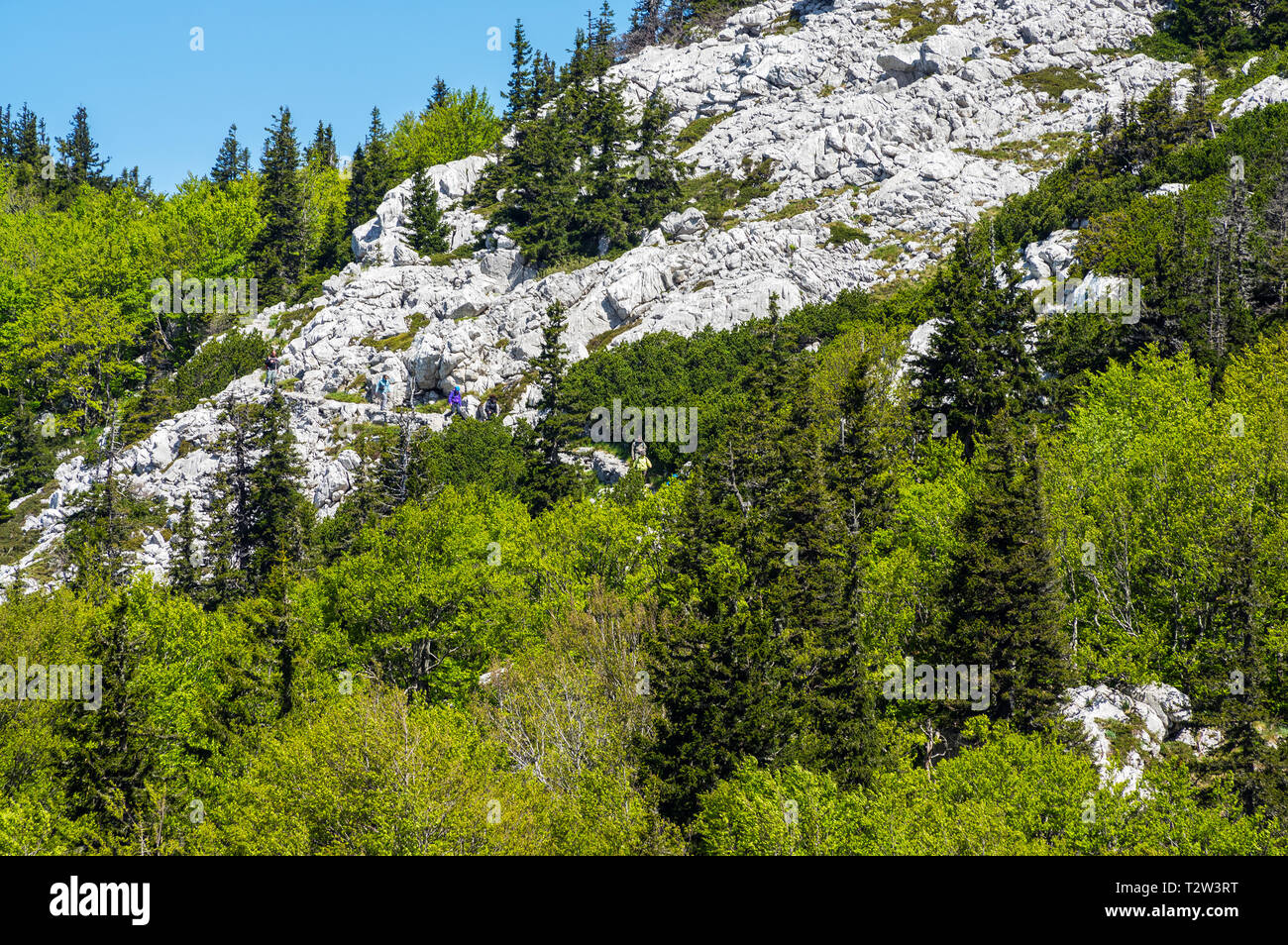 National park Sjeverni Velebit. One of the most beautiful parts of ...