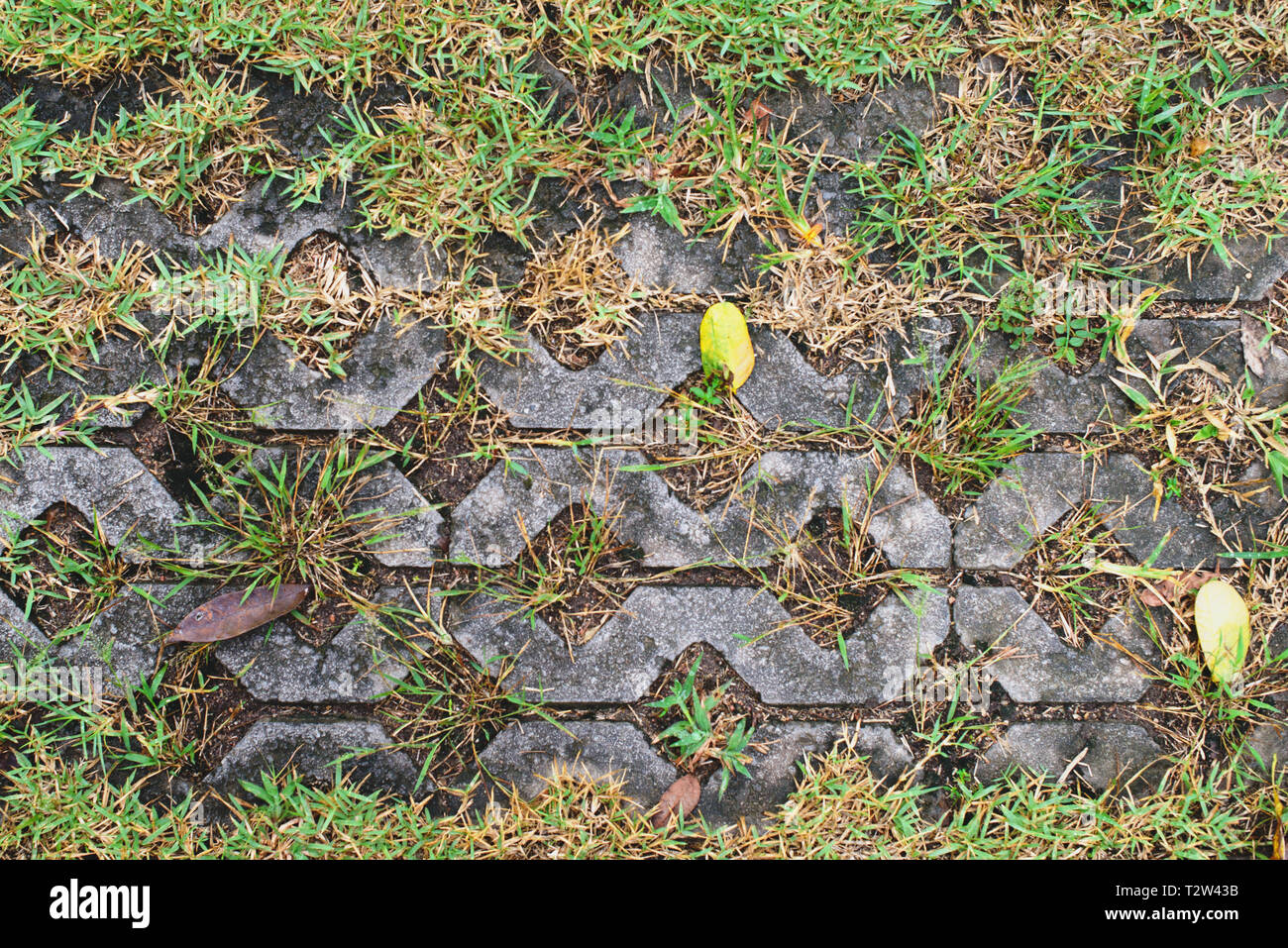 Pebble stone path walkway hi-res stock photography and images - Alamy