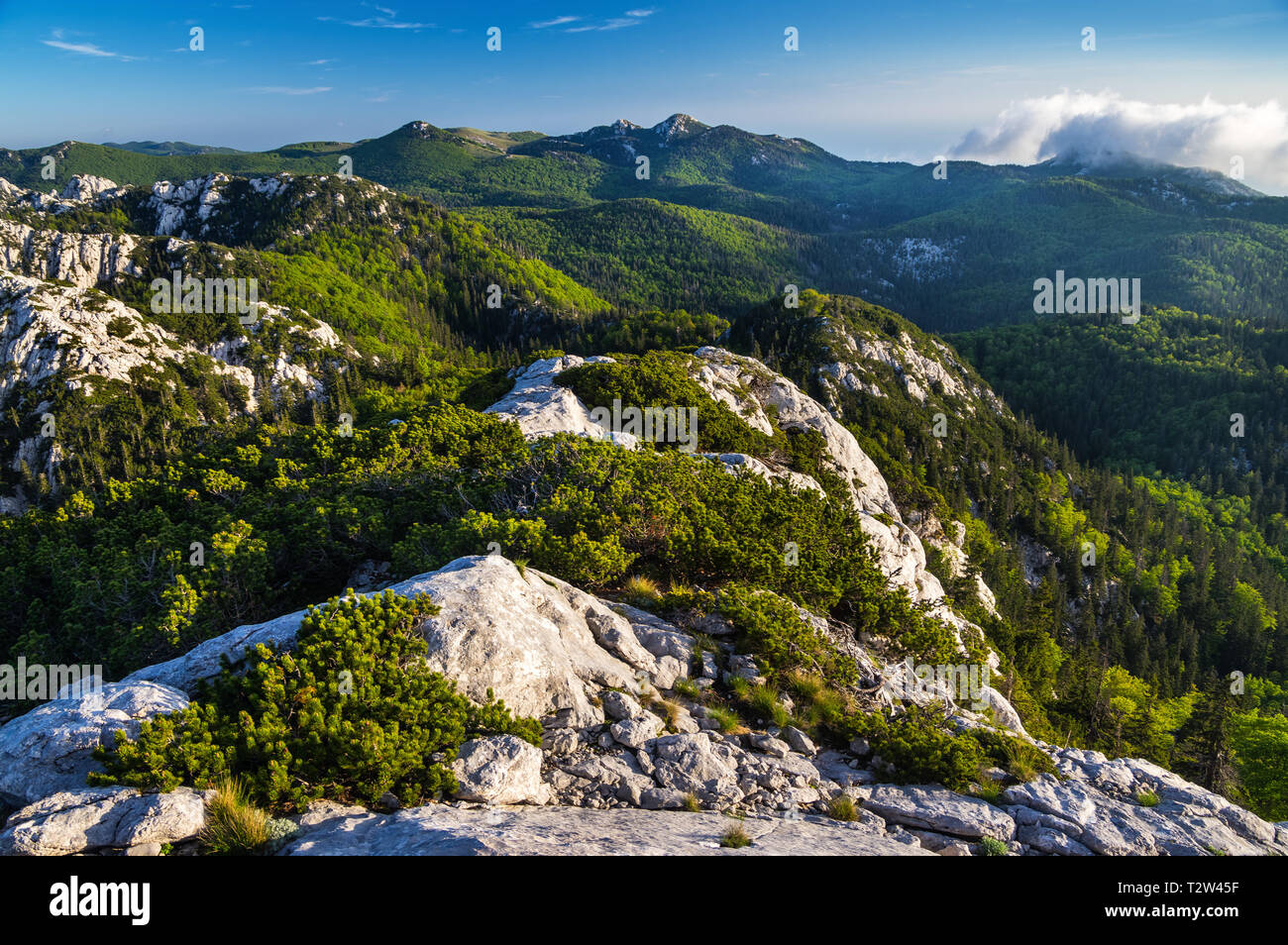National park Sjeverni Velebit. One of the most beautiful parts of ...