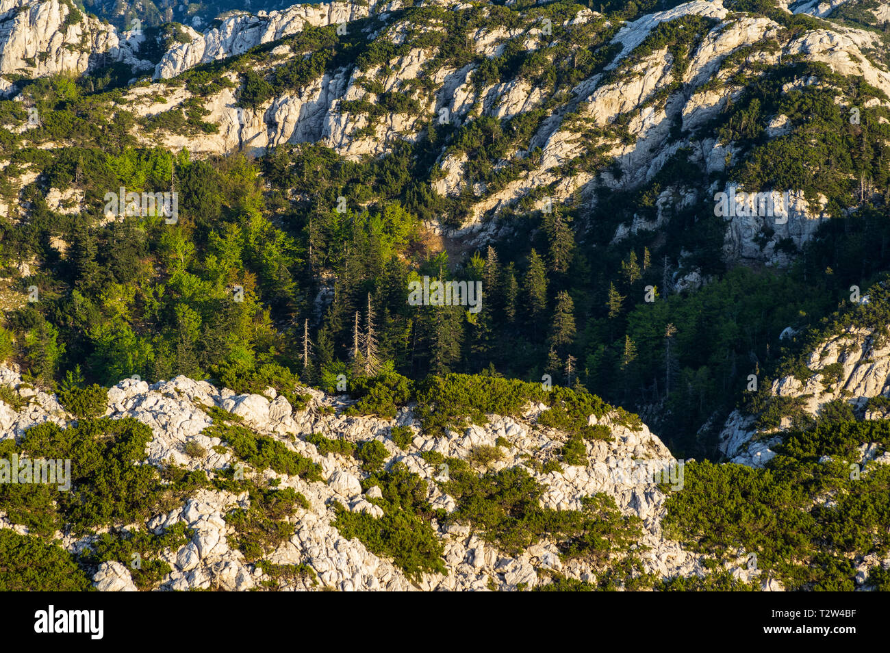 National park Sjeverni Velebit. One of the most beautiful parts of ...