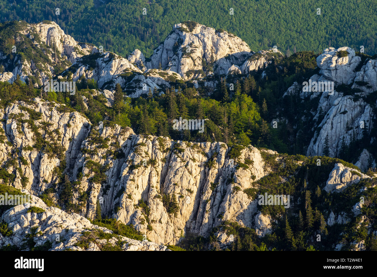 National park Sjeverni Velebit. One of the most beautiful parts of ...