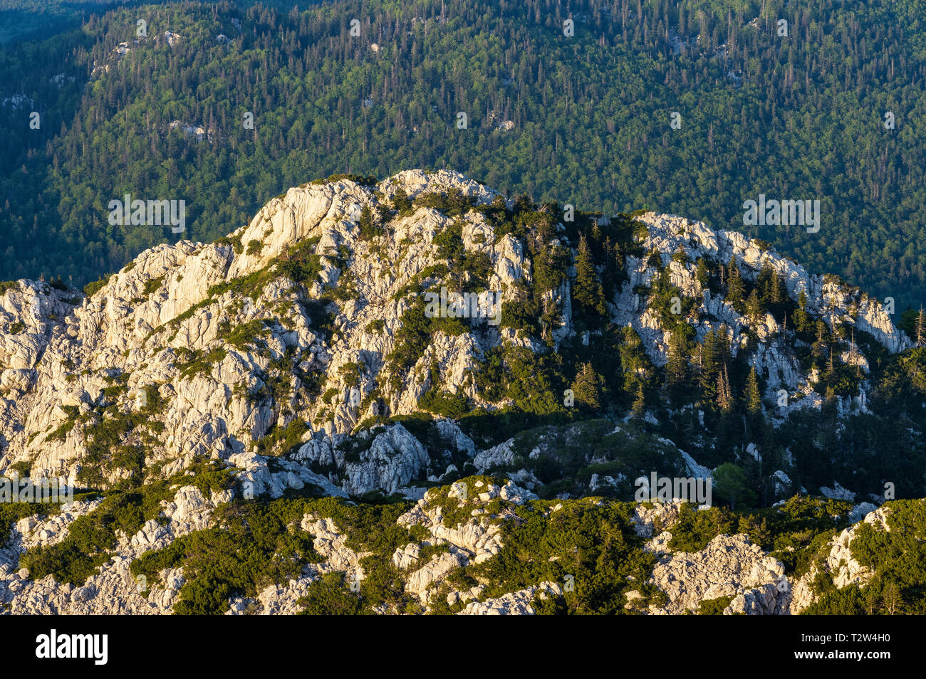 National park Sjeverni Velebit. One of the most beautiful parts of ...