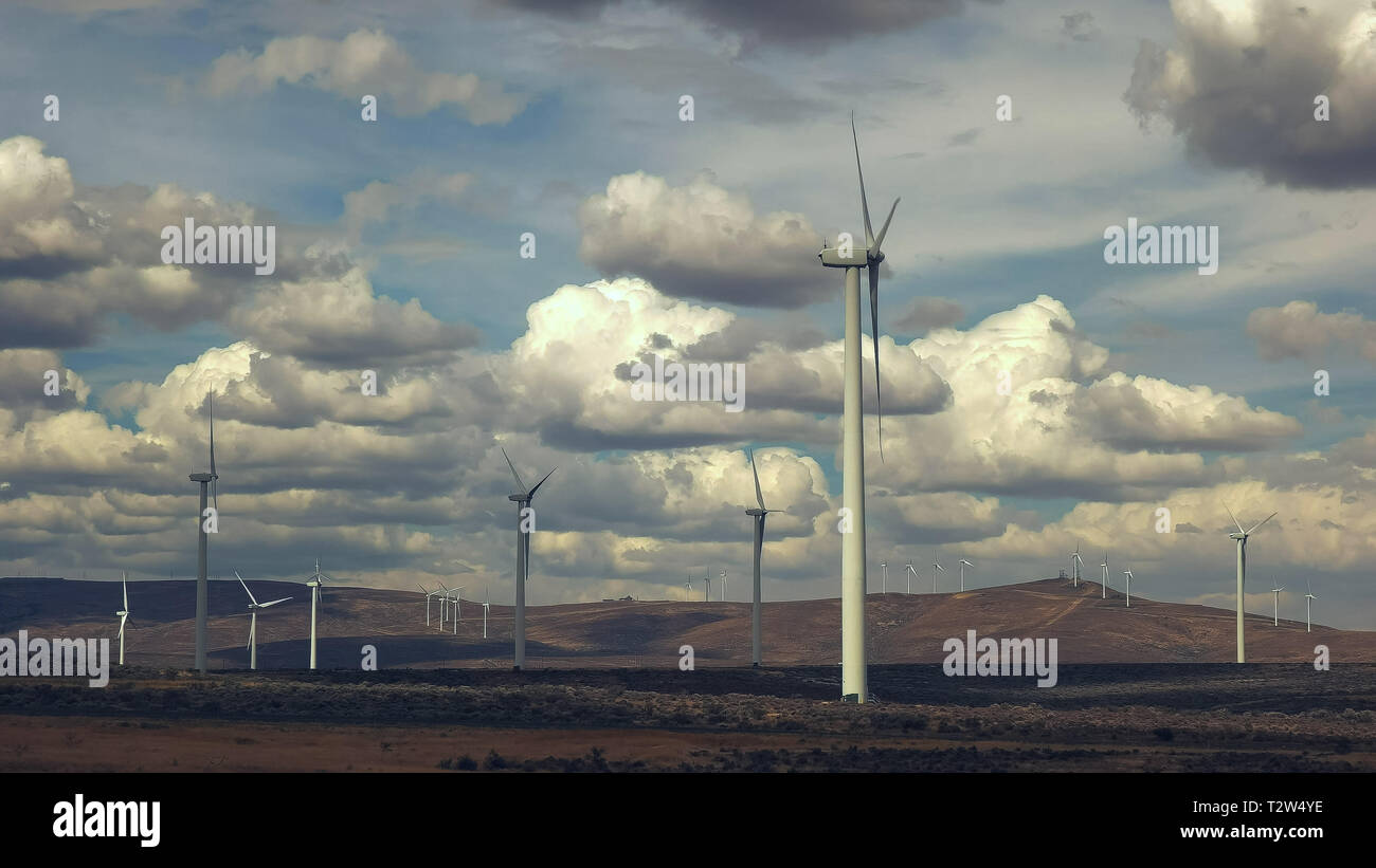 the wild horse wind farm in eastern washington, usa Stock Photo - Alamy
