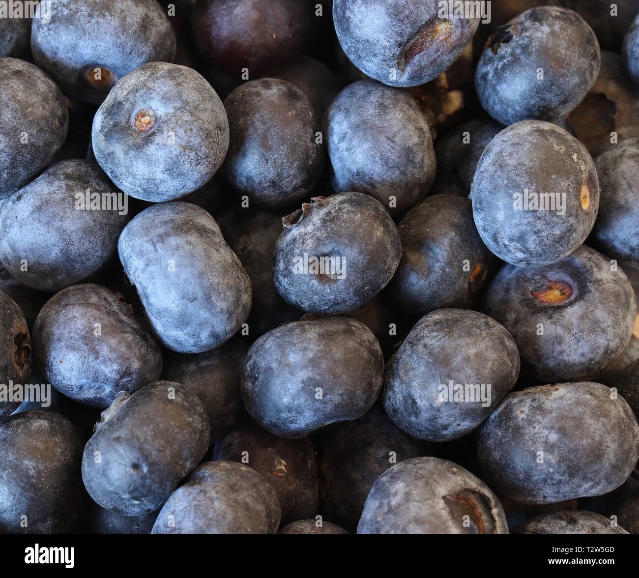 Pile of blueberries hi-res stock photography and images - Alamy
