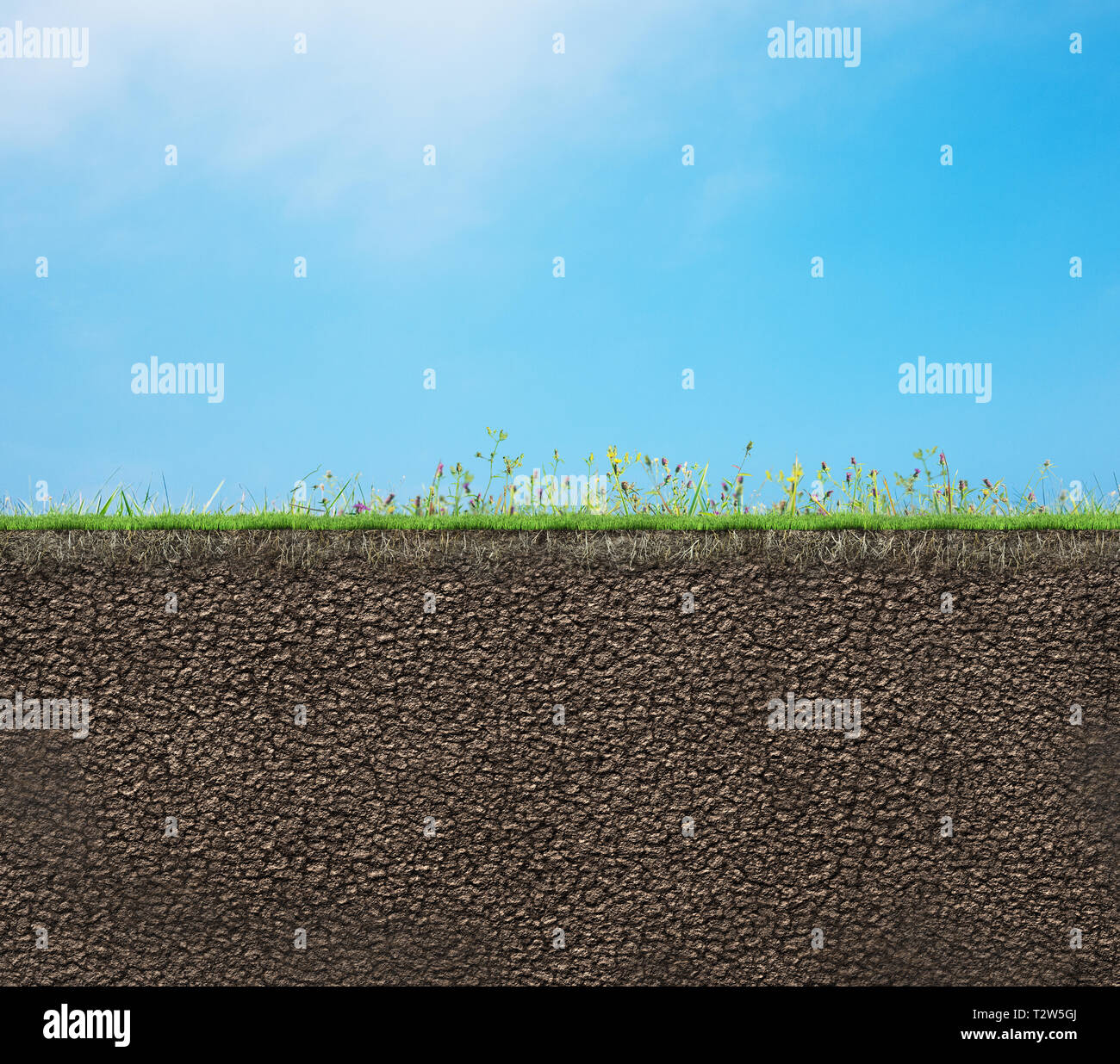 Soil profile agriculture hi-res stock photography and images - Alamy
