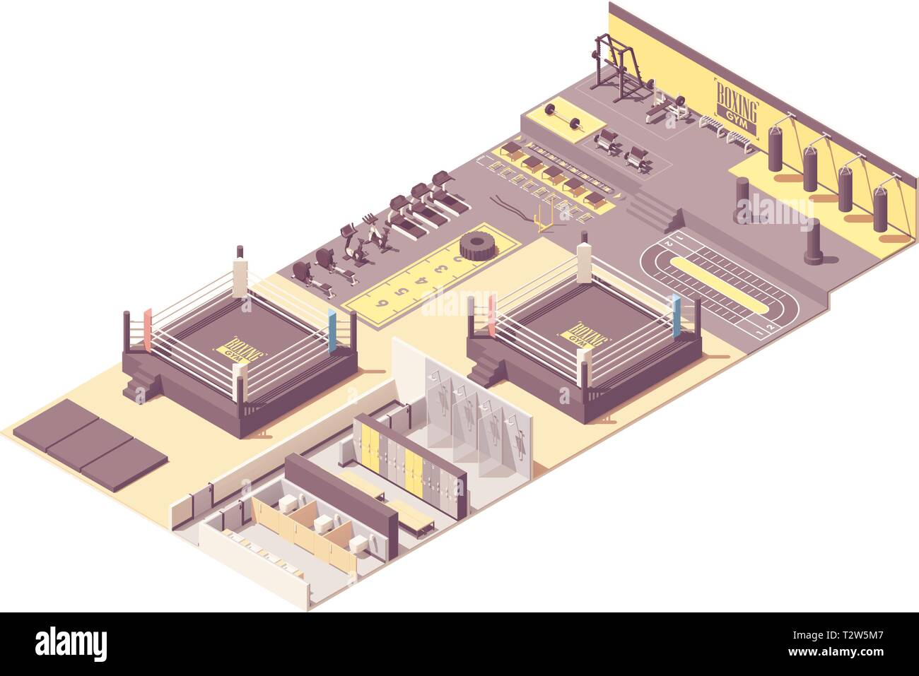 Vector isometric boxing gym or fitness club interior cross-section with ...