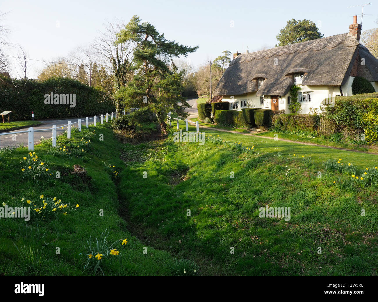 Spring View Arkesden Village Essex with Daffodils Stock Photo - Alamy