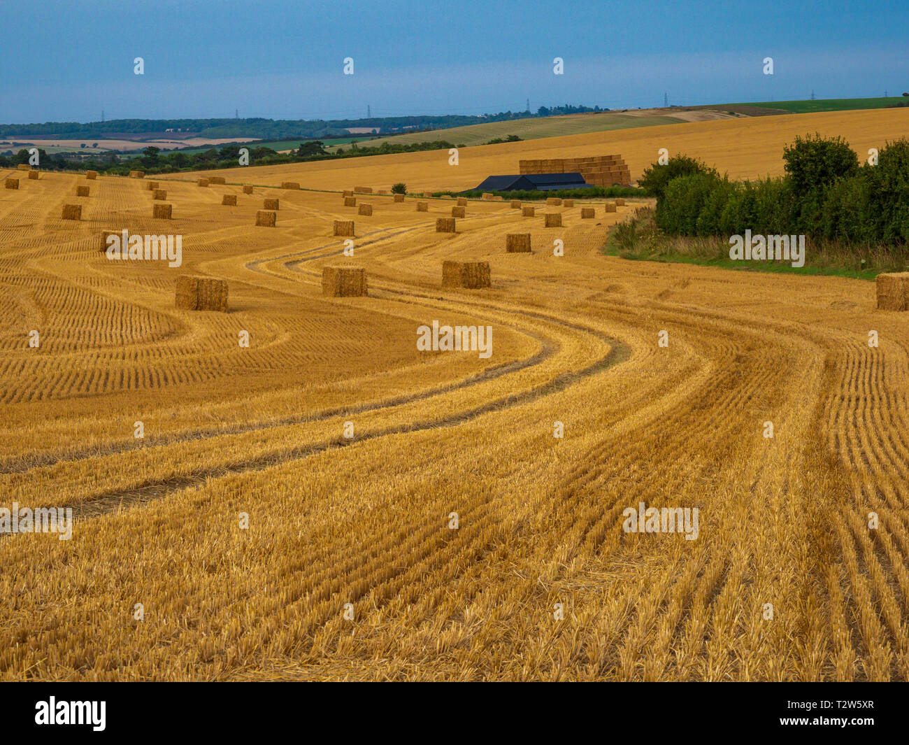 Hay Bales laid out in field after the crops have been harvested ...