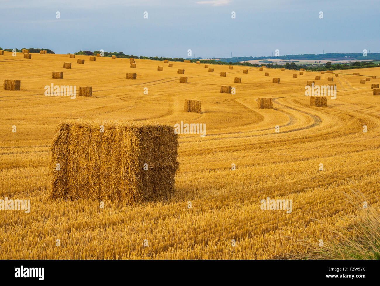 Cambridgeshire essex border hi-res stock photography and images - Alamy