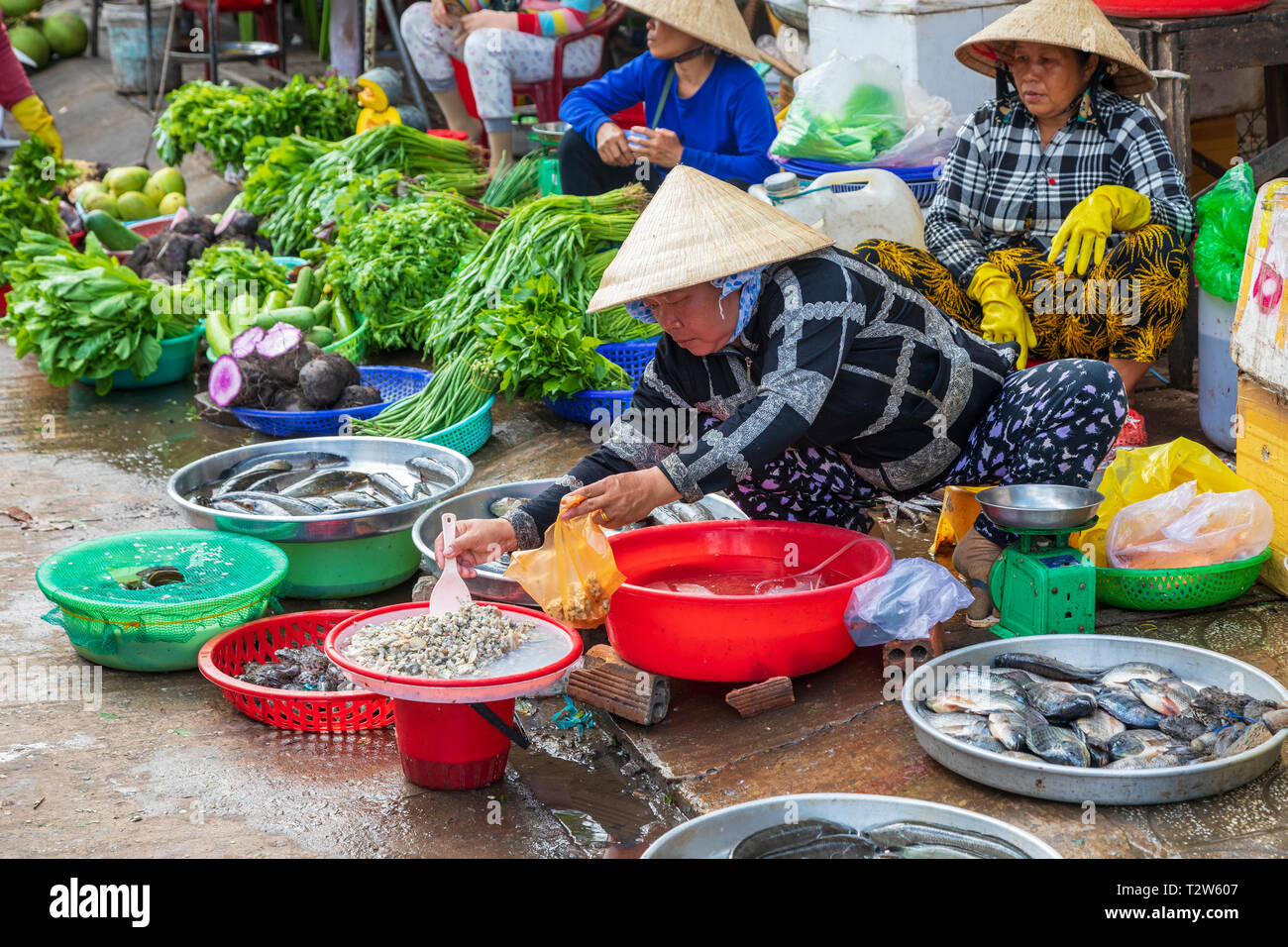 Frogs fish market in vietnam hi-res stock photography and images - Alamy