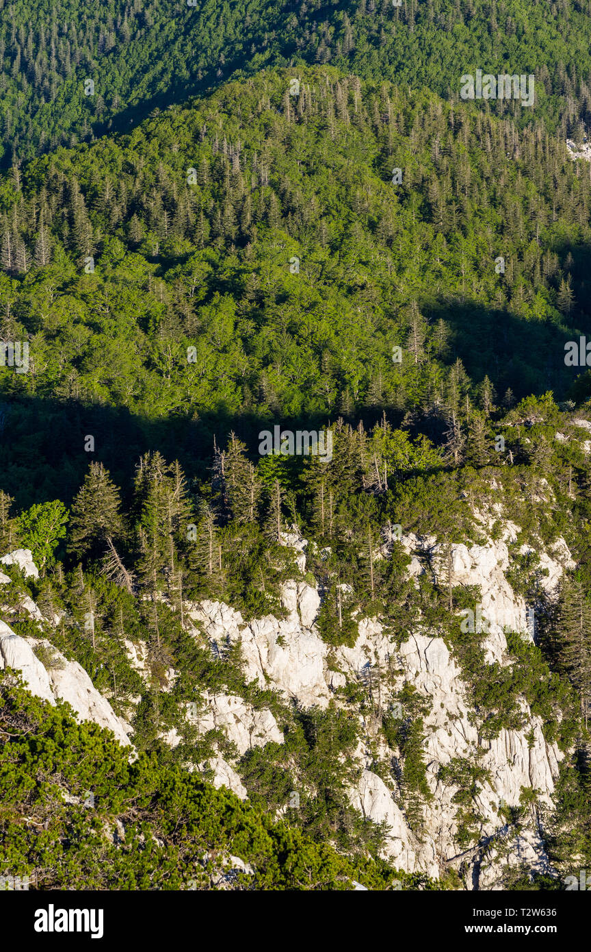National park Sjeverni Velebit. One of the most beautiful parts of ...