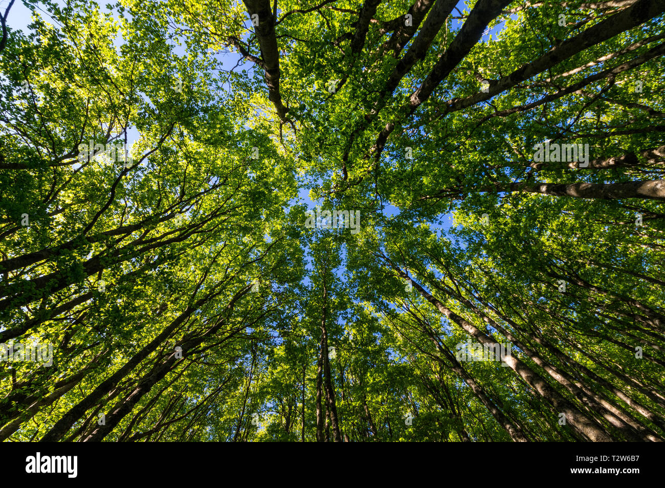 National park Sjeverni Velebit. One of the most beautiful parts of ...