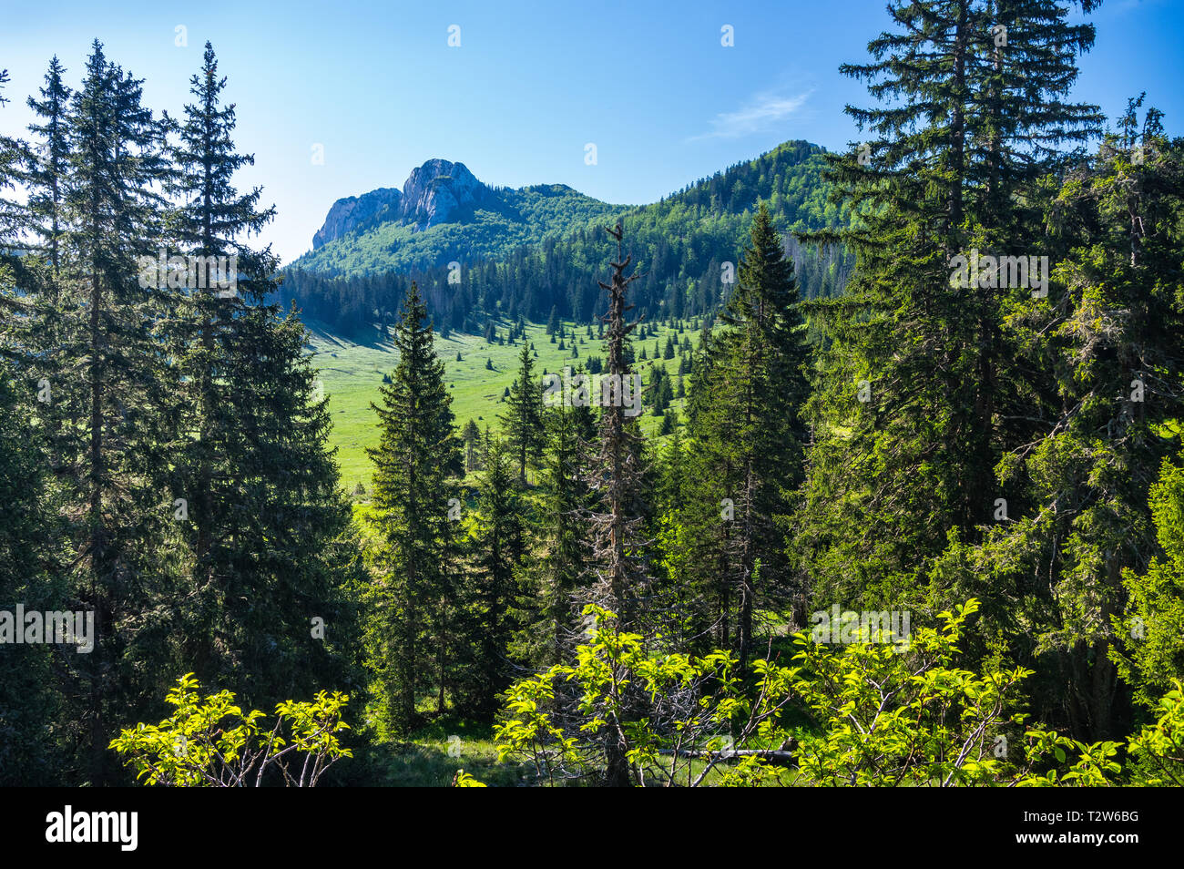 National park Sjeverni Velebit. One of the most beautiful parts of ...