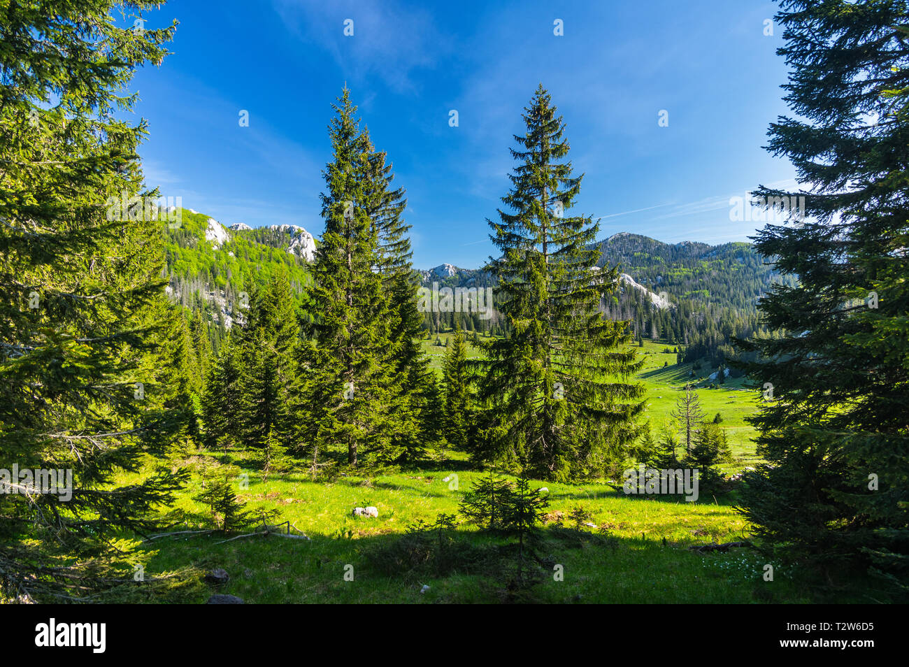 National park Sjeverni Velebit. One of the most beautiful parts of ...