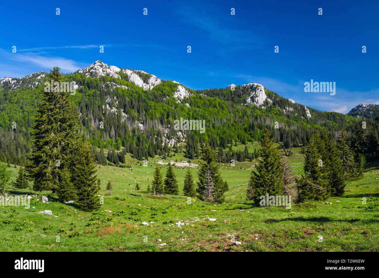 National park Sjeverni Velebit. One of the most beautiful parts of ...