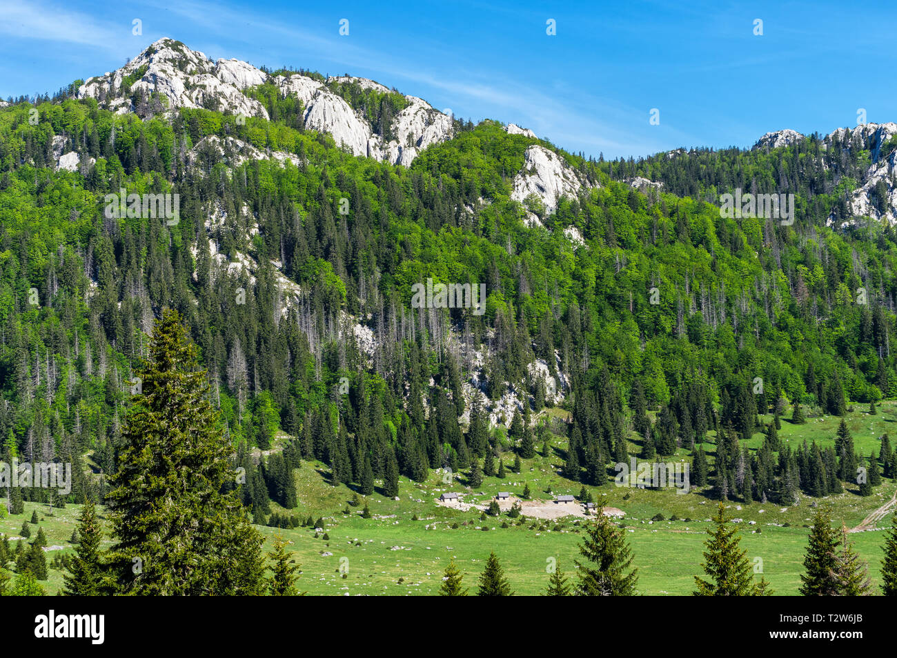 National park Sjeverni Velebit. One of the most beautiful parts of ...