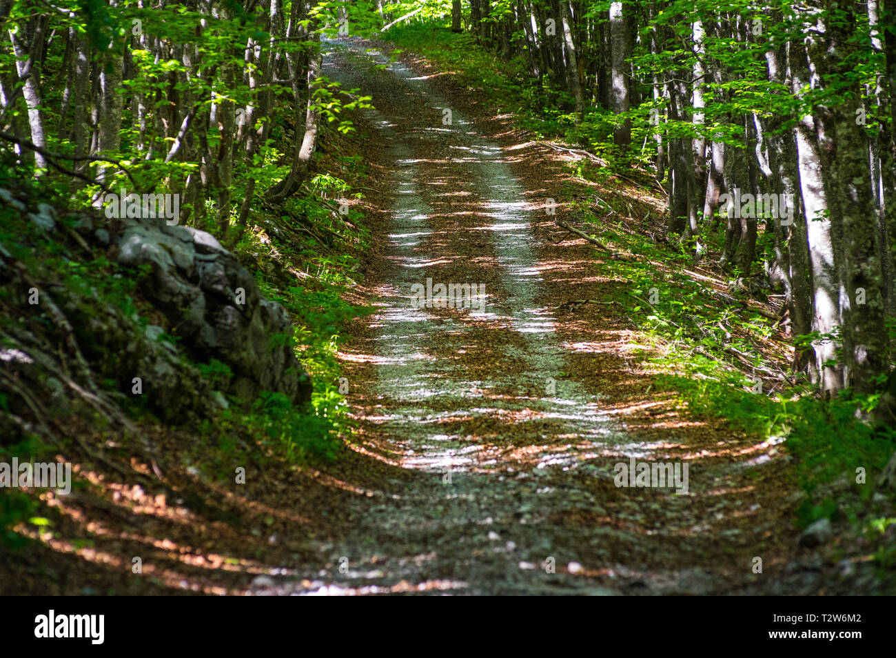 National park Sjeverni Velebit. One of the most beautiful parts of ...