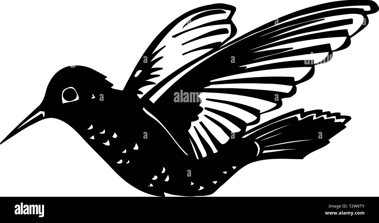 Hummingbird illustration hi-res stock photography and images - Alamy
