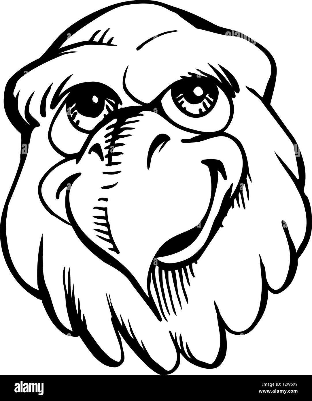Casual Eagle Mascot Vector Illustration Stock Vector Image And Art Alamy