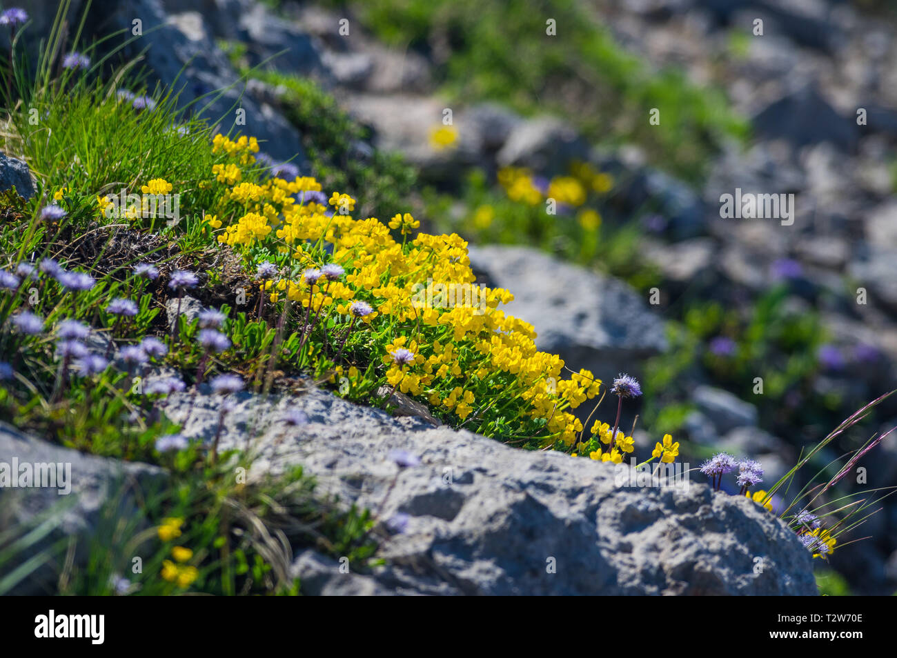 National park Sjeverni Velebit. One of the most beautiful parts of ...