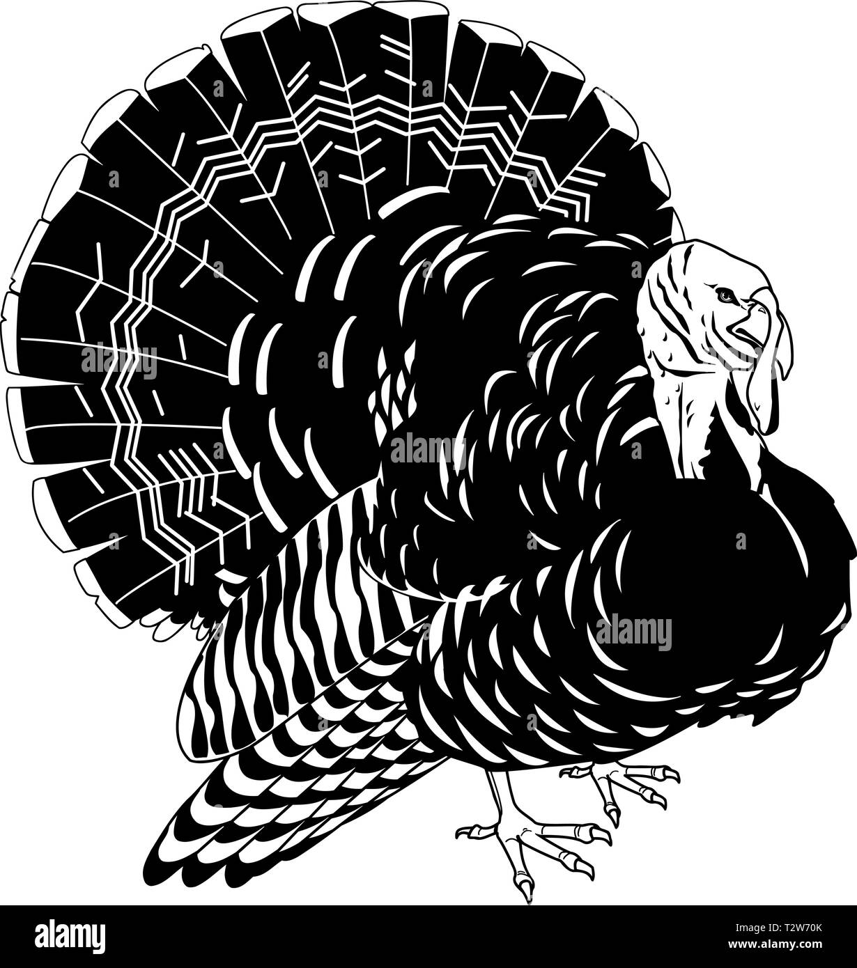 Turkey Vector Illustration Stock Vector Image & Art - Alamy