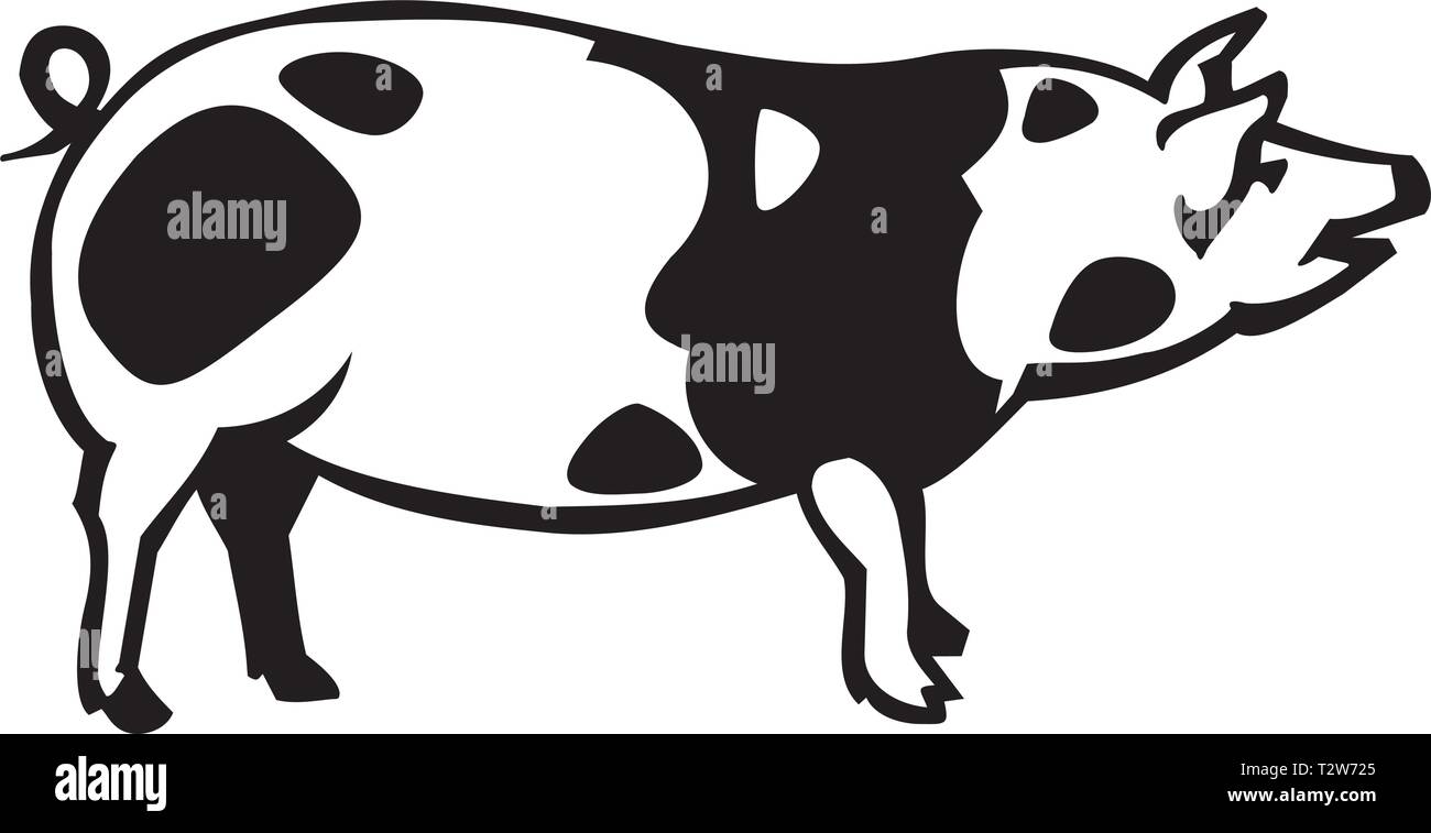 Spotted pigs Stock Vector Images - Alamy
