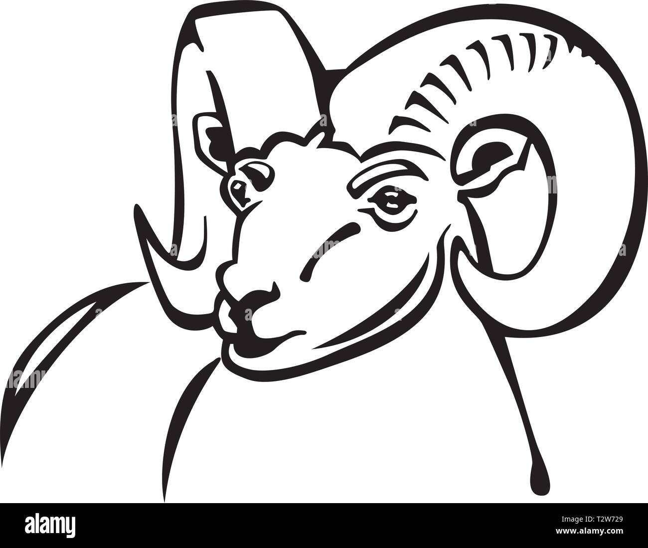 Rams horns illustration Stock Vector Images - Alamy