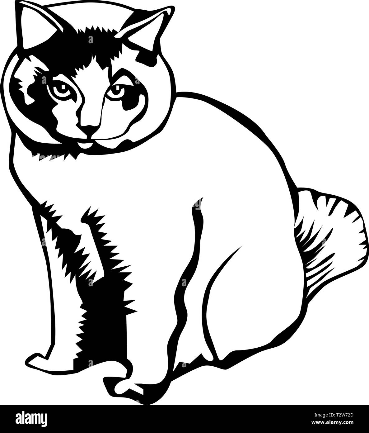Cat Vector Illustration Stock Vector Image & Art - Alamy