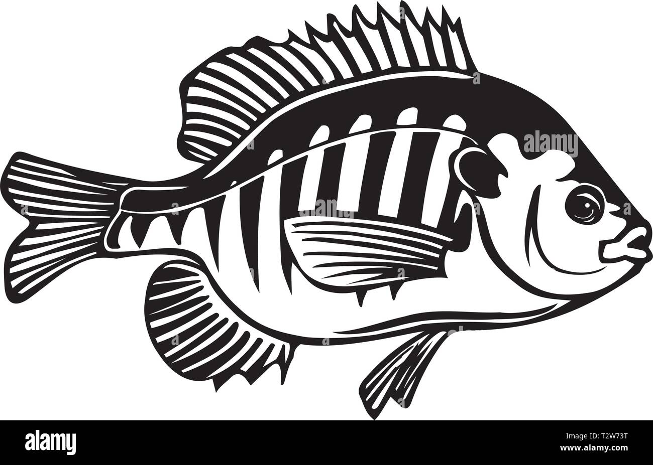 Blue Gill Illustration Stock Vector Image & Art - Alamy