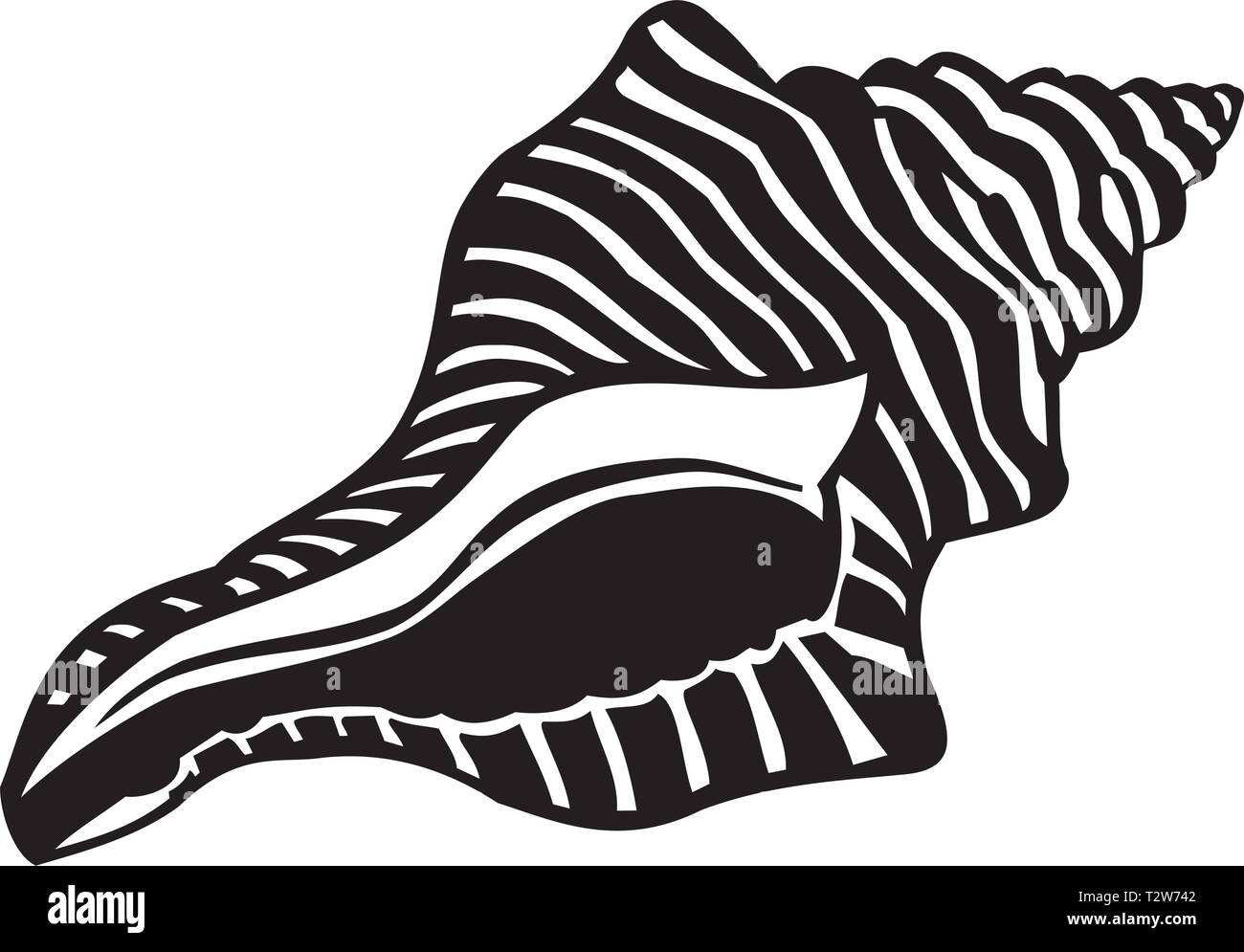 Conch fish Stock Vector Images - Alamy