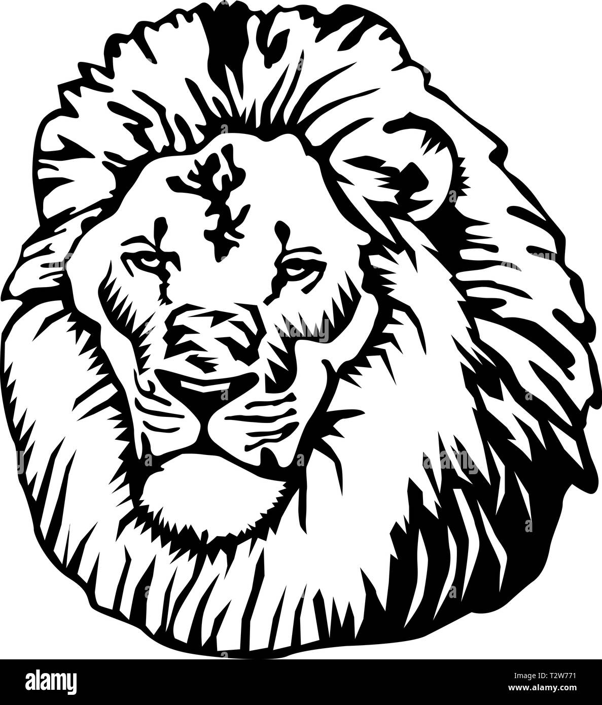 Lion Vector Illustration Stock Vector Image & Art - Alamy