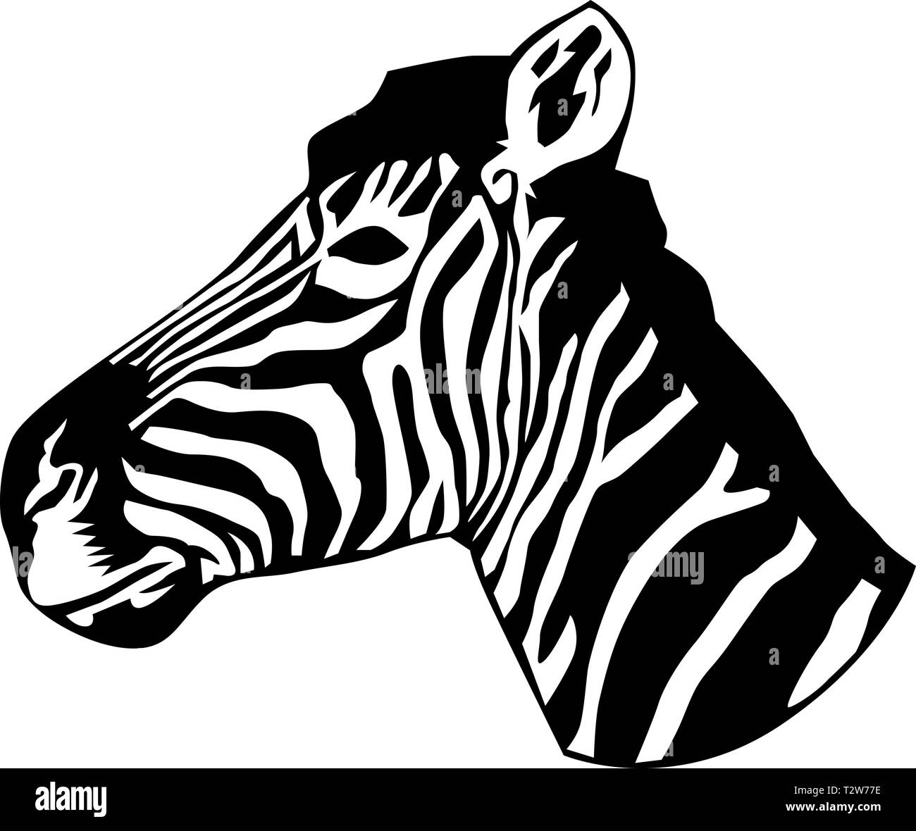 Zebra Vector Illustration Stock Vector Image & Art - Alamy