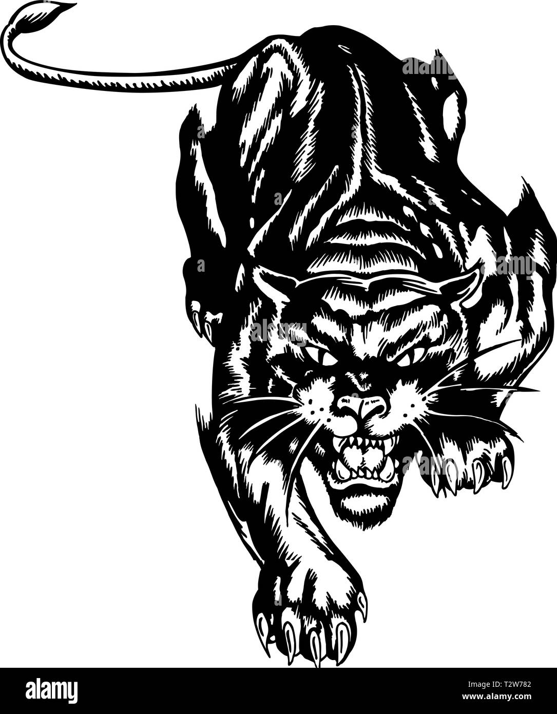 Stealth Cat Vector Illustration Stock Vector Image & Art - Alamy