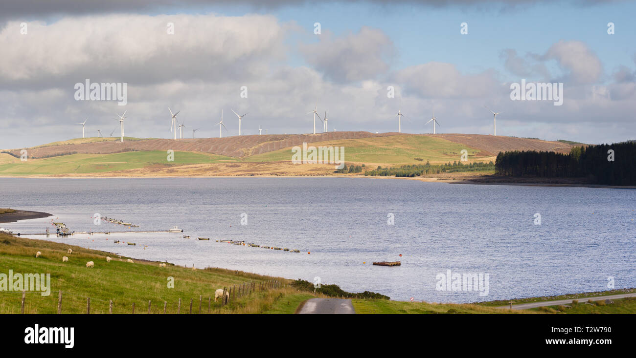 Llyn Brenig reservoir with the Clocaenog wind farm on the Denbigh moors ...