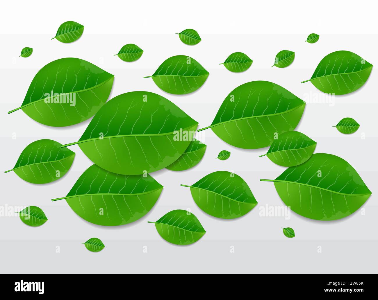 Nature green leaves Vector abstract background illustration Stock ...