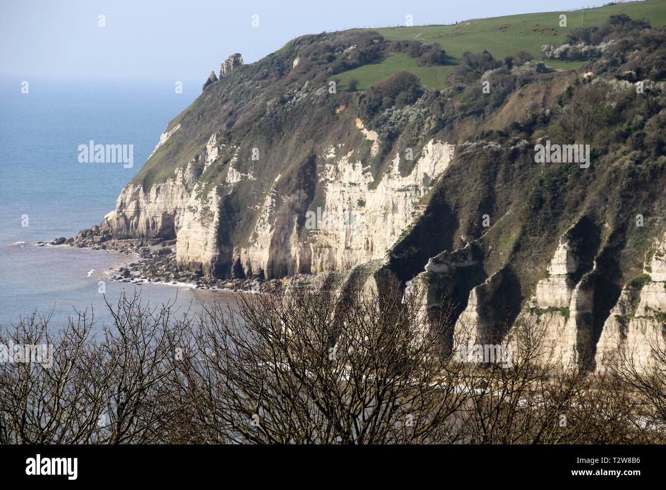 white cliffs and sea along the south west coastal path between Seaton ...