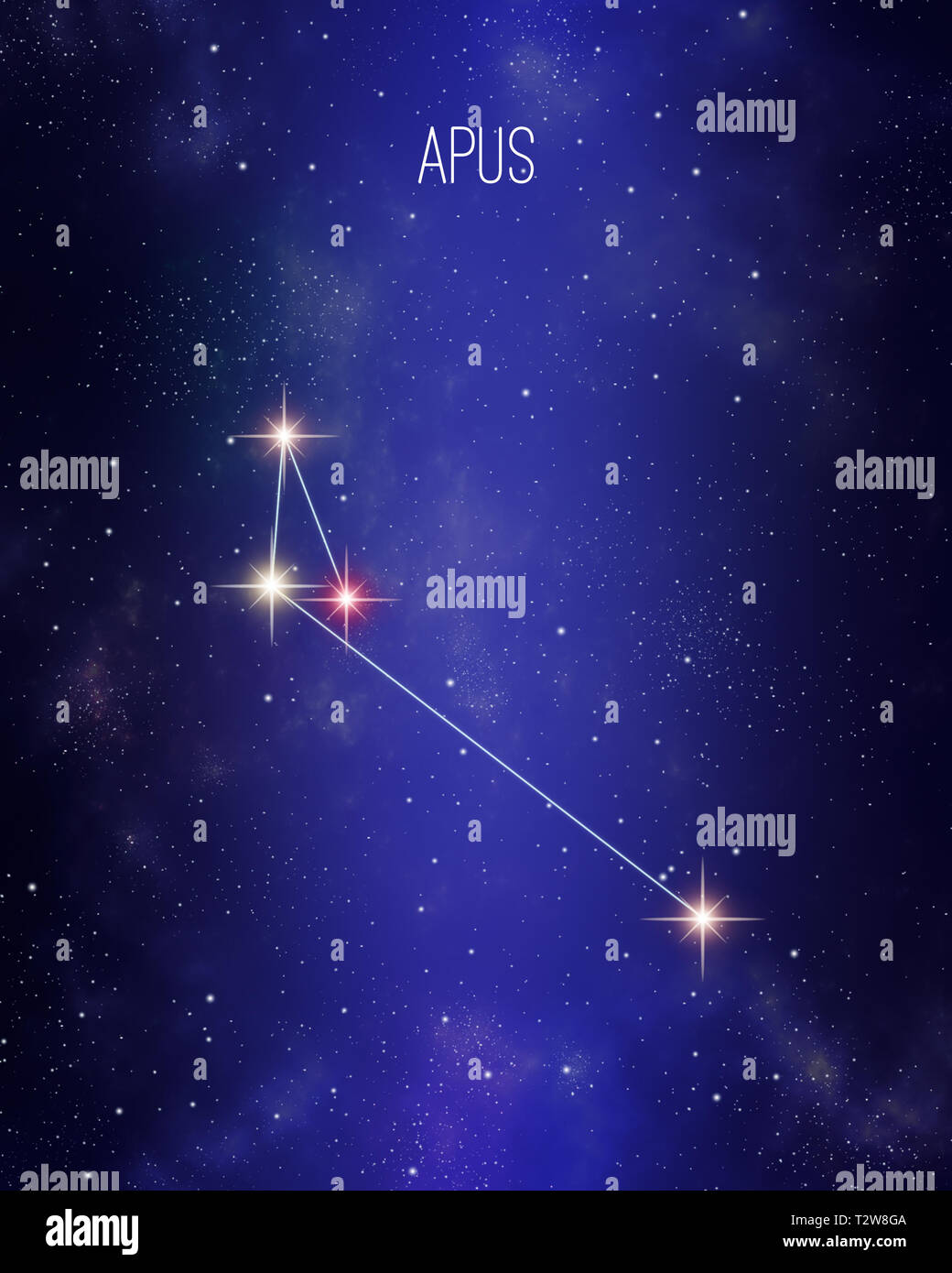 Apus Constellation In The Sky