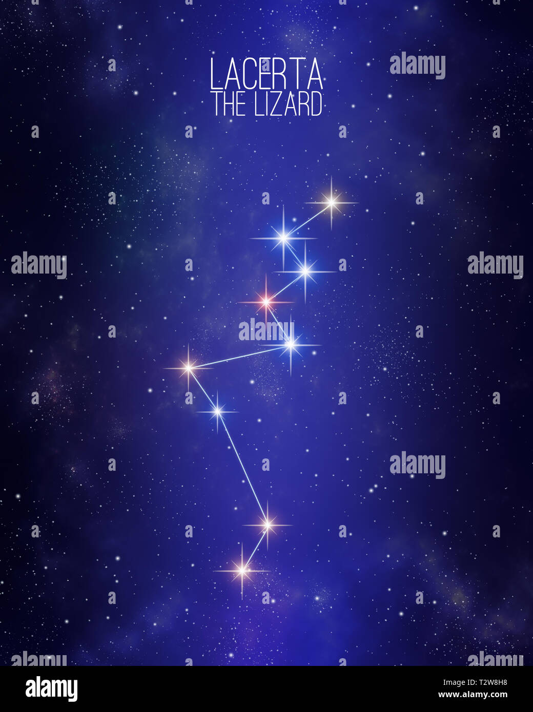 Lacerta Constellation