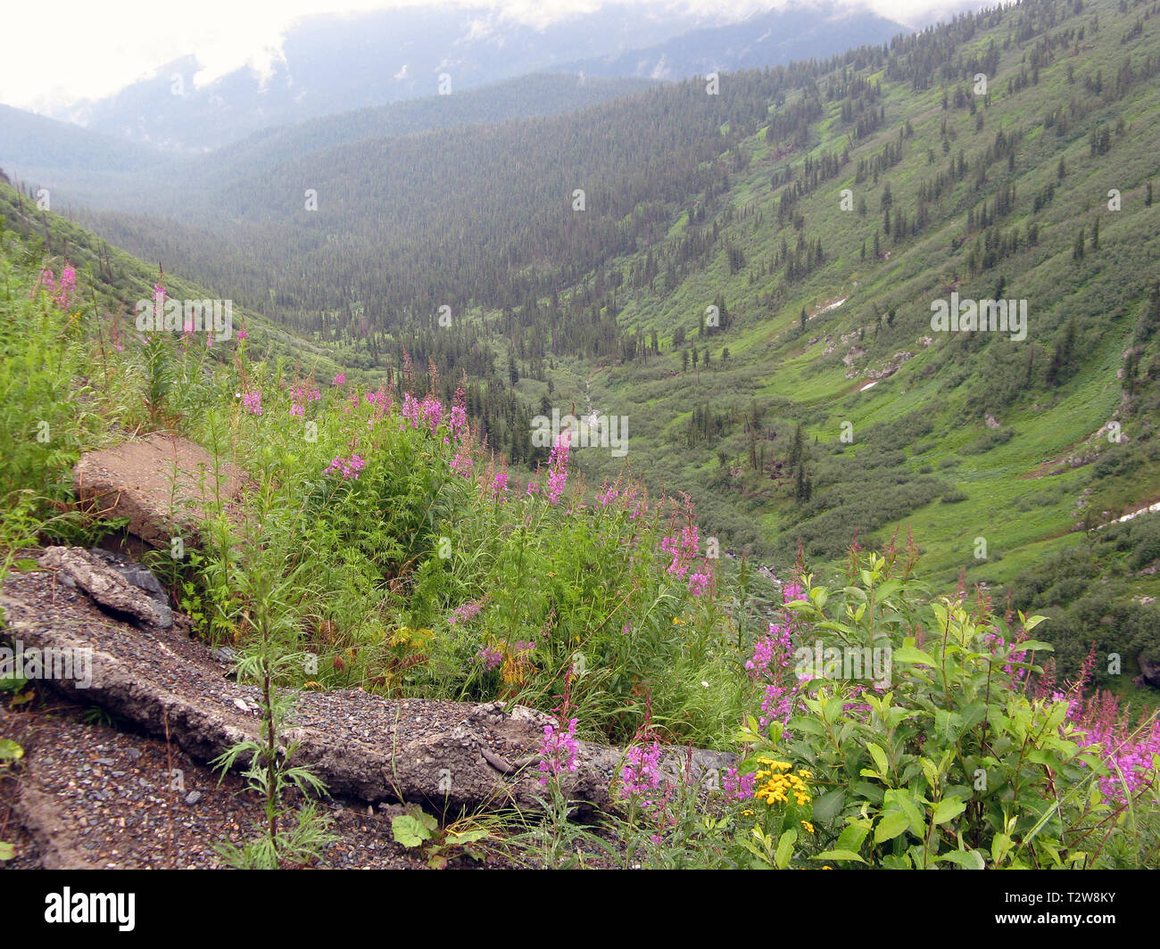 Tuva hi-res stock photography and images - Alamy