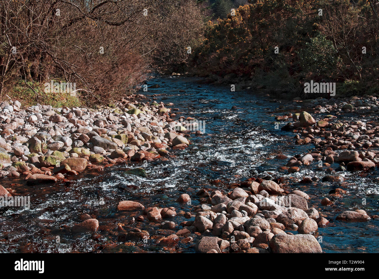 Dale ireland hi-res stock photography and images - Alamy