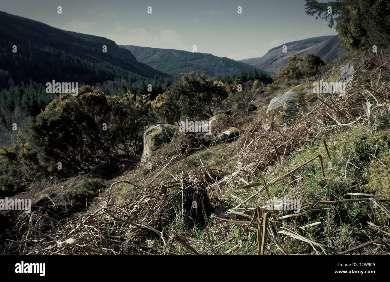 Glenmalure High Resolution Stock Photography and Images - Alamy