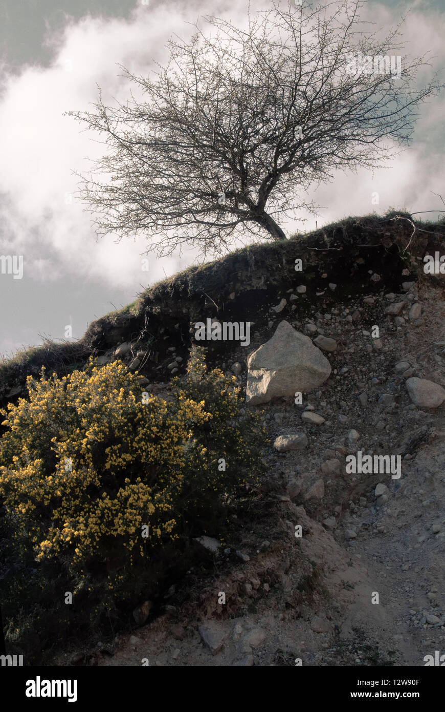 Glenmalure valley wicklow hi-res stock photography and images - Alamy