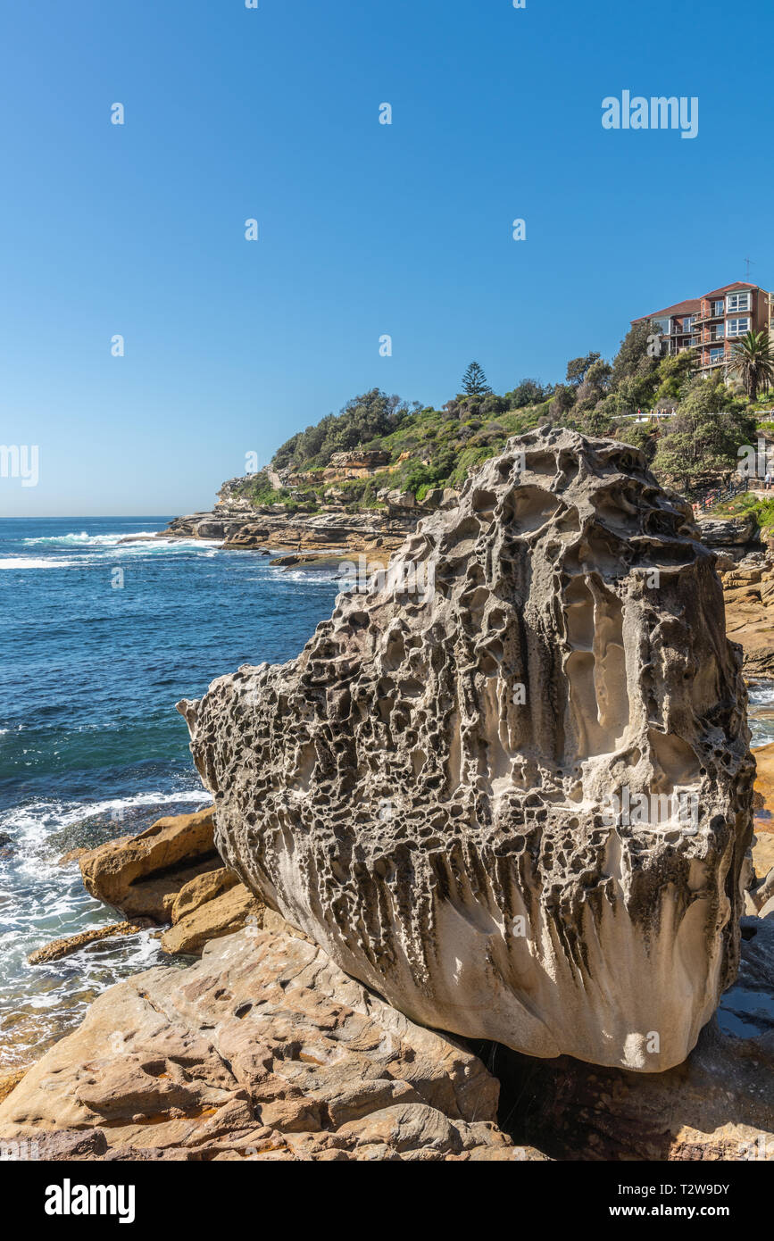 Sydney, Australia - February 11, 2019: Closeup of gray sponge-like rock ...