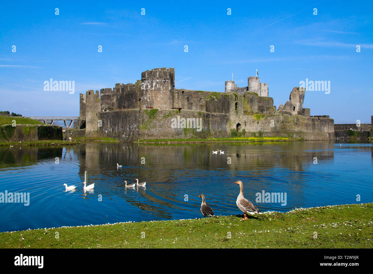 Caerphilly castle south wales hi-res stock photography and images - Alamy