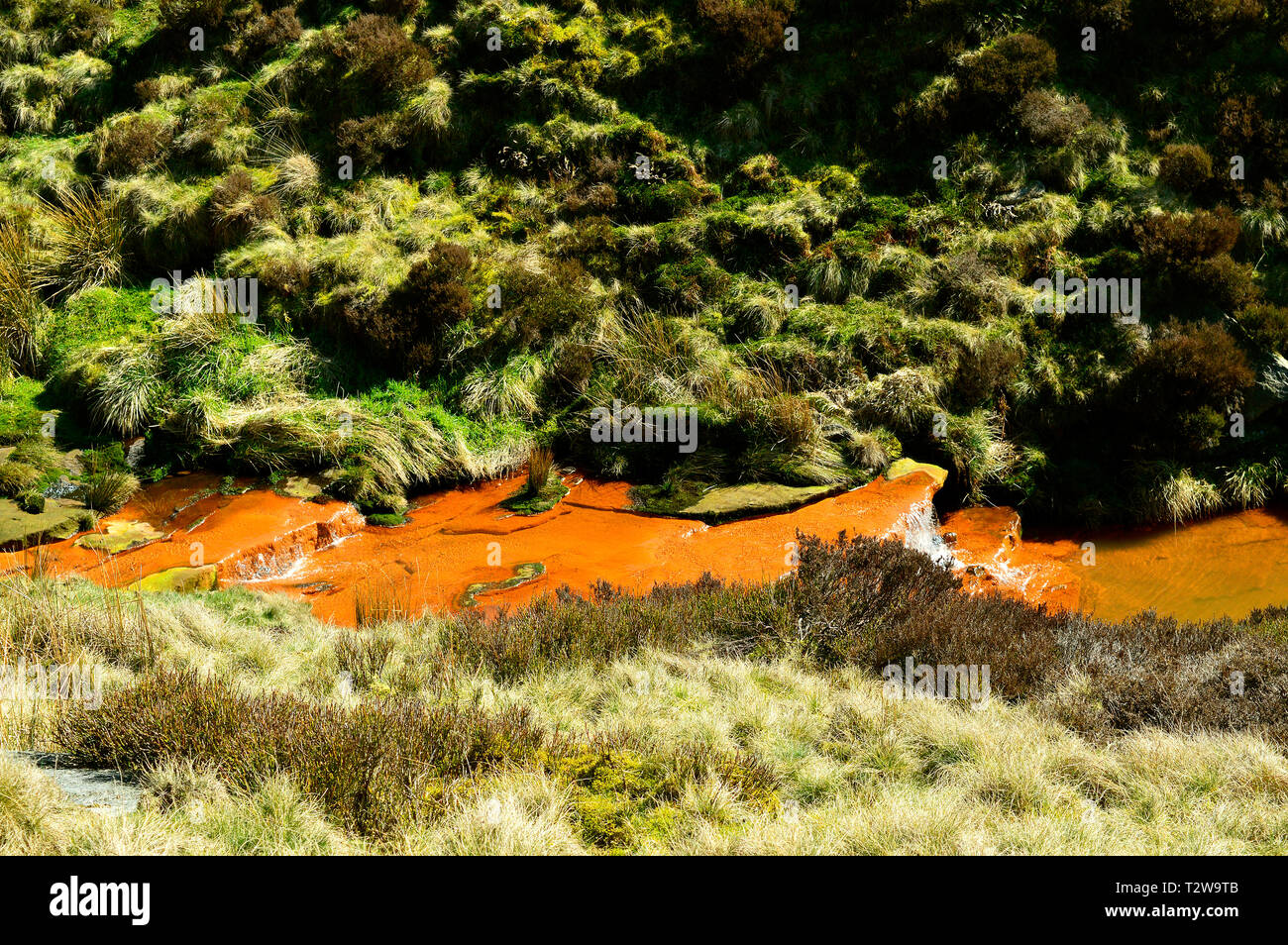Chew with orange water from the iron deposits in the soil Stock Photo ...
