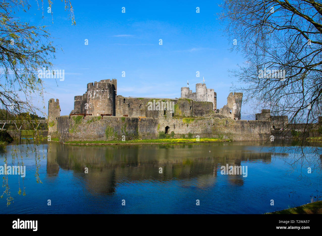 Reflection of cardiff castle hi-res stock photography and images - Alamy