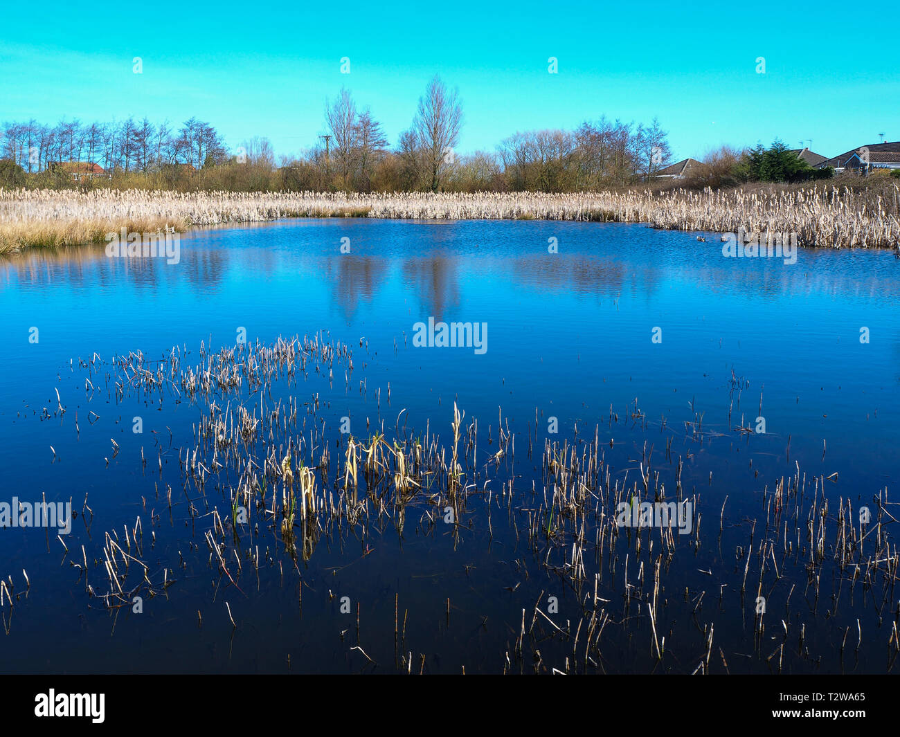 Filey dams hi-res stock photography and images - Alamy